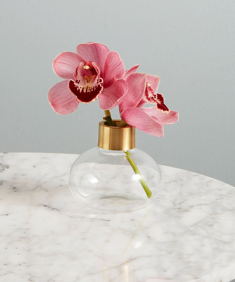 Housewarming Gifts NZ - New Home Presents & Gift Ideas | The Gift Hunter